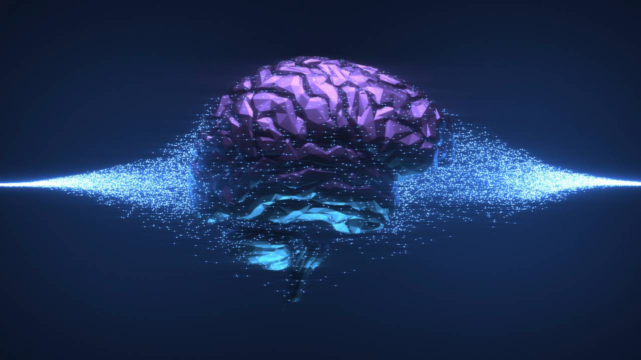 Neuroscience for Change