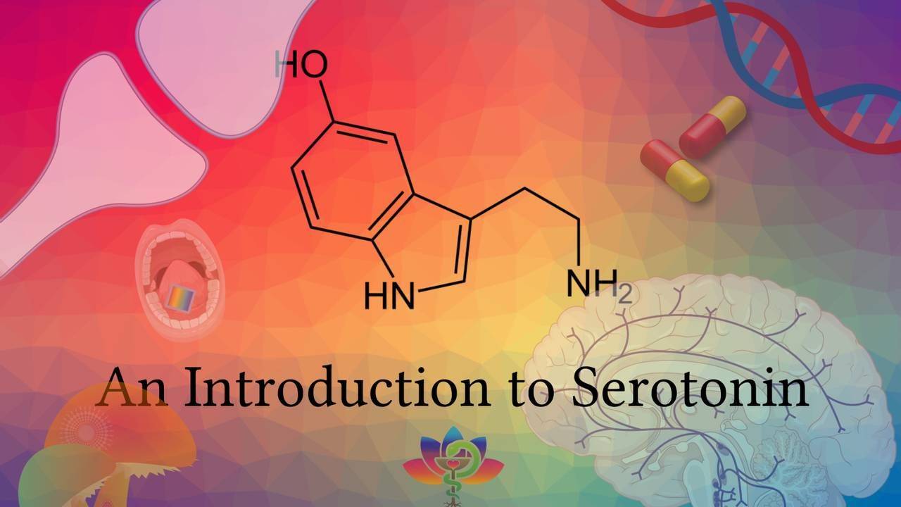 An Introduction to Serotonin