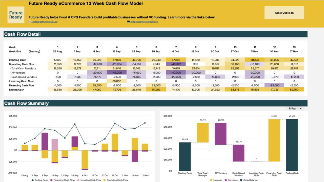 13 Week Cash Flow Template Download