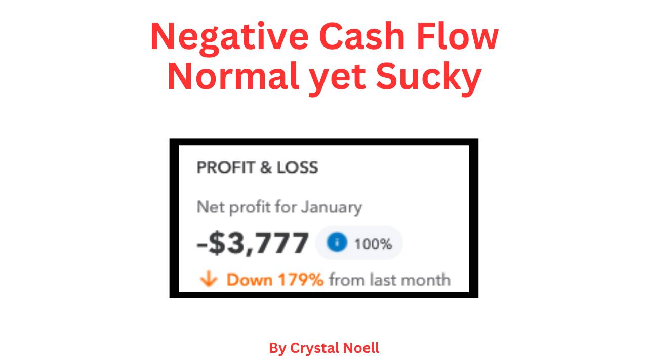 Negative Cash Flow: Normal yet Sucky