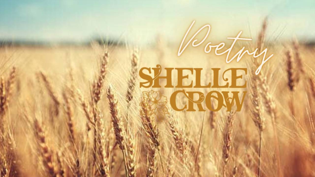 Poetry by Shelle Crow
