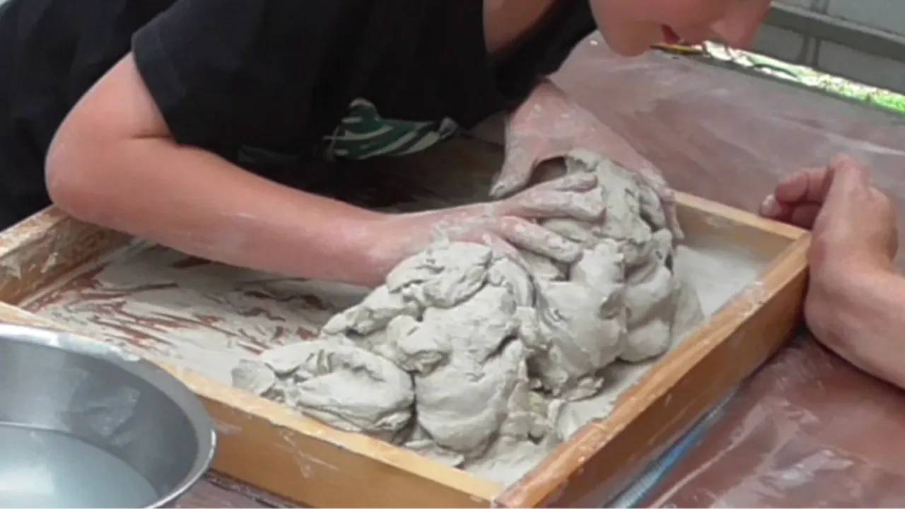 The Treatment of ASD and ADHD with Sensorimotor Art Therapy