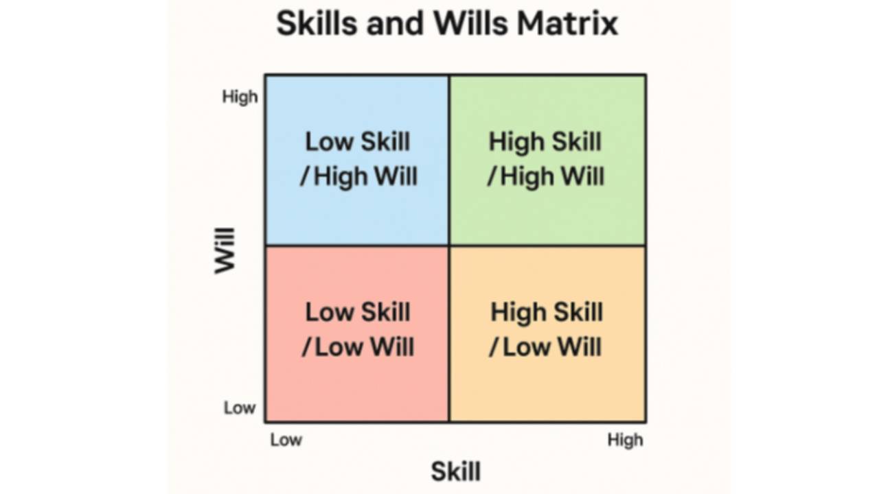 Skills and Wills: Aligning People, Roles, and Values