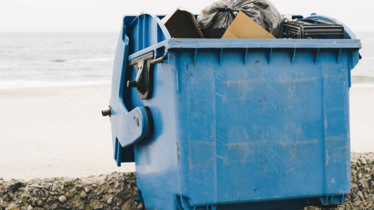 Take Out Your Head Trash