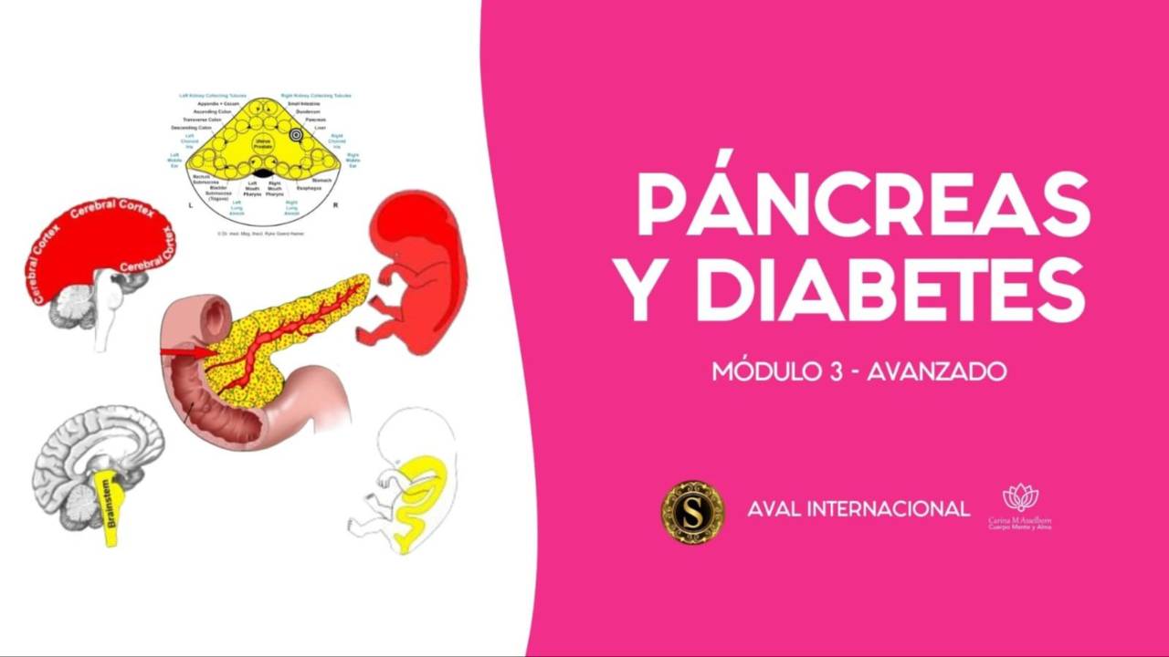 NUEVA MEDICINA BASADA EN LAS 5 LEYES BIOLÓGICAS “PÁNCREAS Y DIABETES