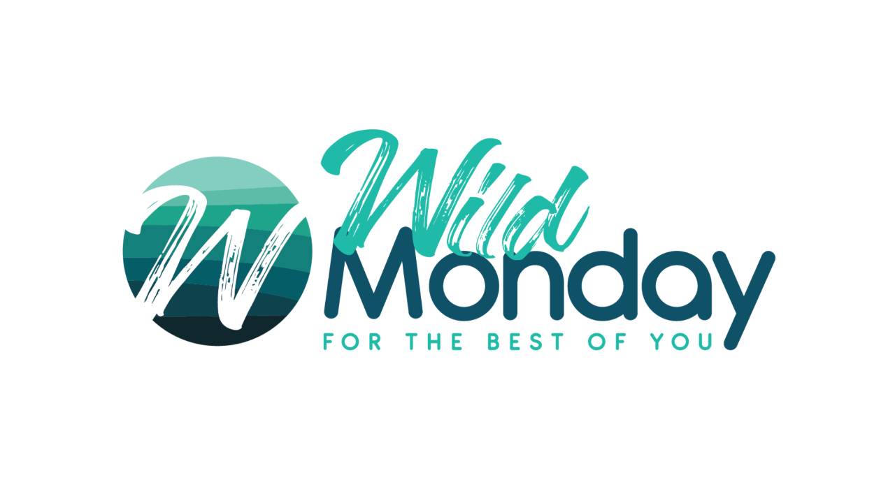 Wild Monday - Contact Us