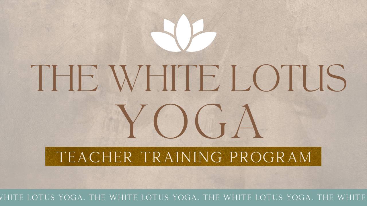 The White Lotus Teacher Training Program