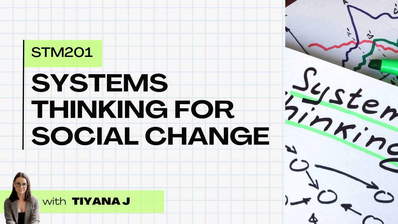 Systems Thinking for Social Change