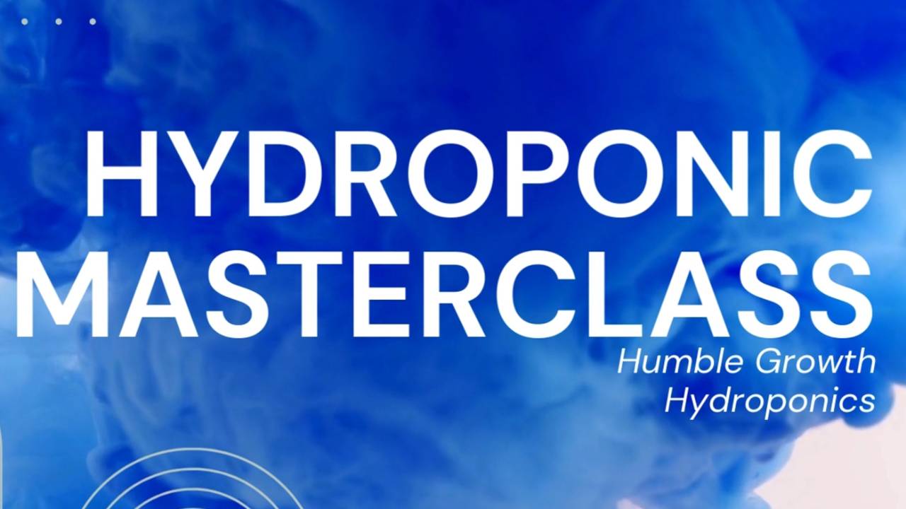 The School of Hydroponics | Indoor Gardening