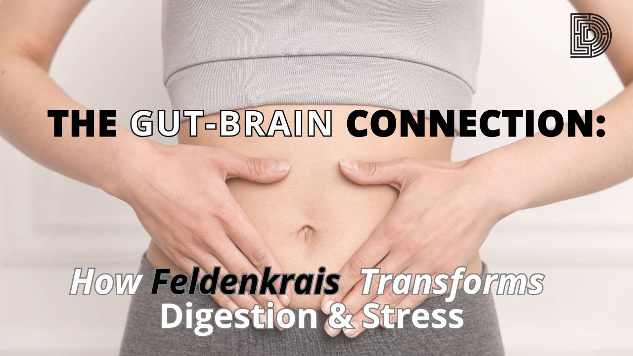 Gut-Brain Connection: How Feldenkrais Transforms Digestion & Stress