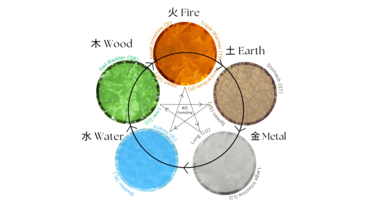 5 Element Theory