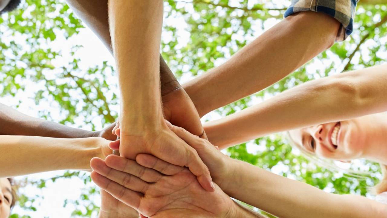 Anima Tree: Care for life