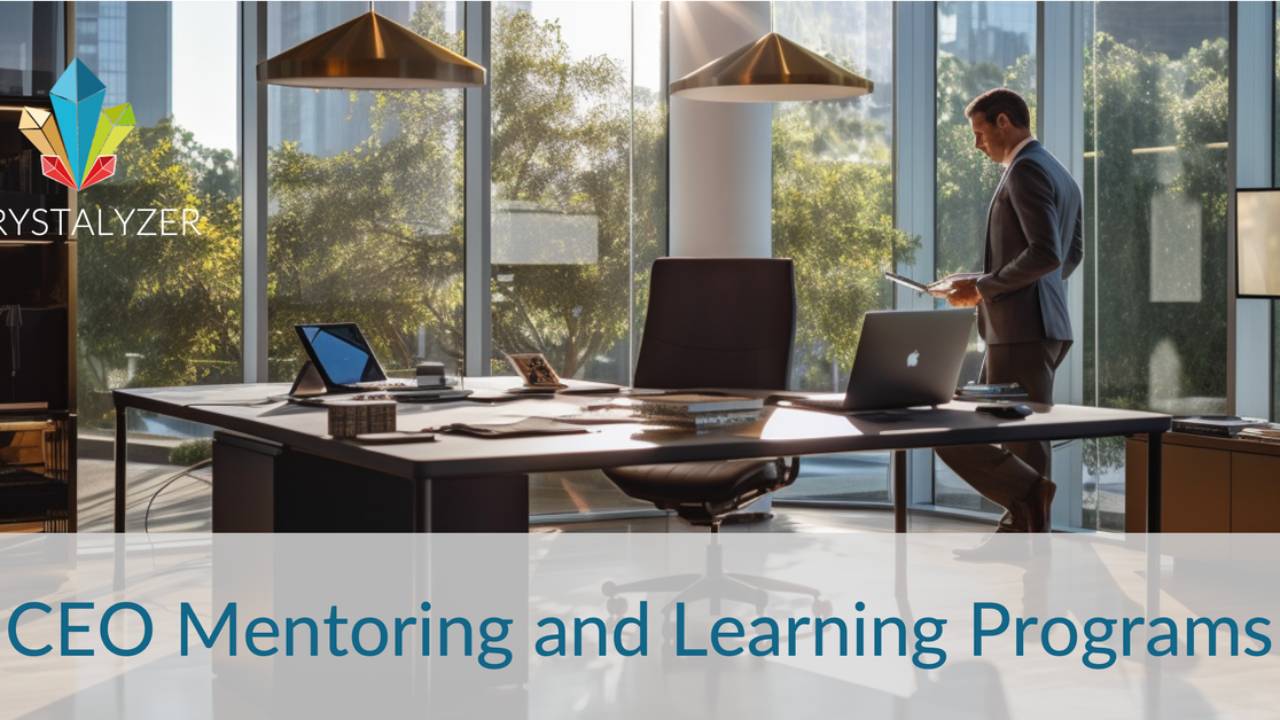 CEO Mentoring Programs for businesses with $5M sales or less.