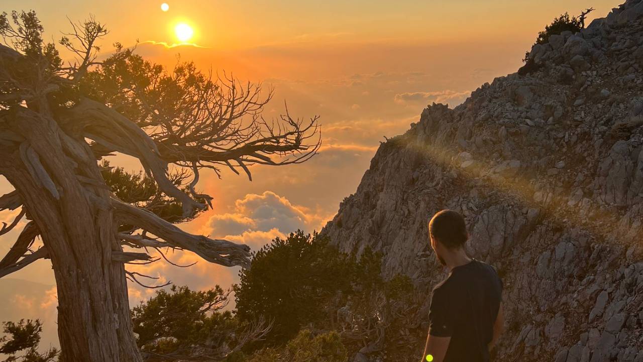 Link Building Mastery