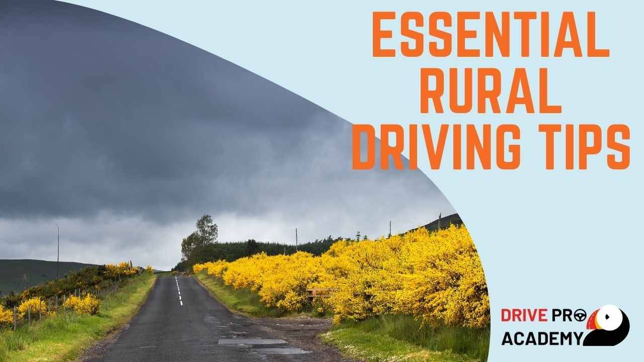 Essential Rural Driving Tips for UK Drivers | Safety on Country Roads
