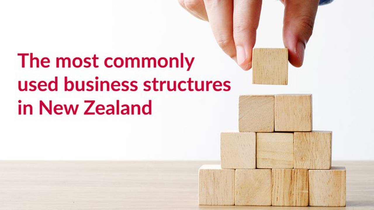 The 4 most common business structures in NZ