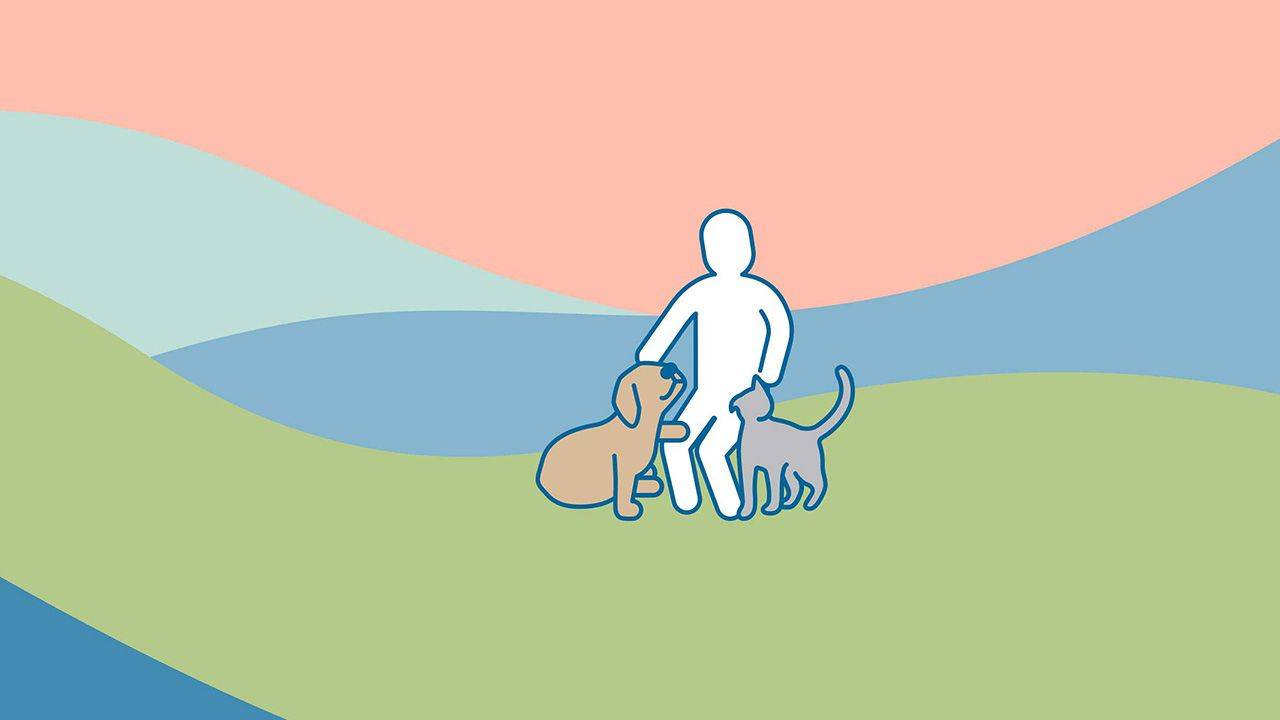 AHELP's Pet Hospice Tips and Tails Blog