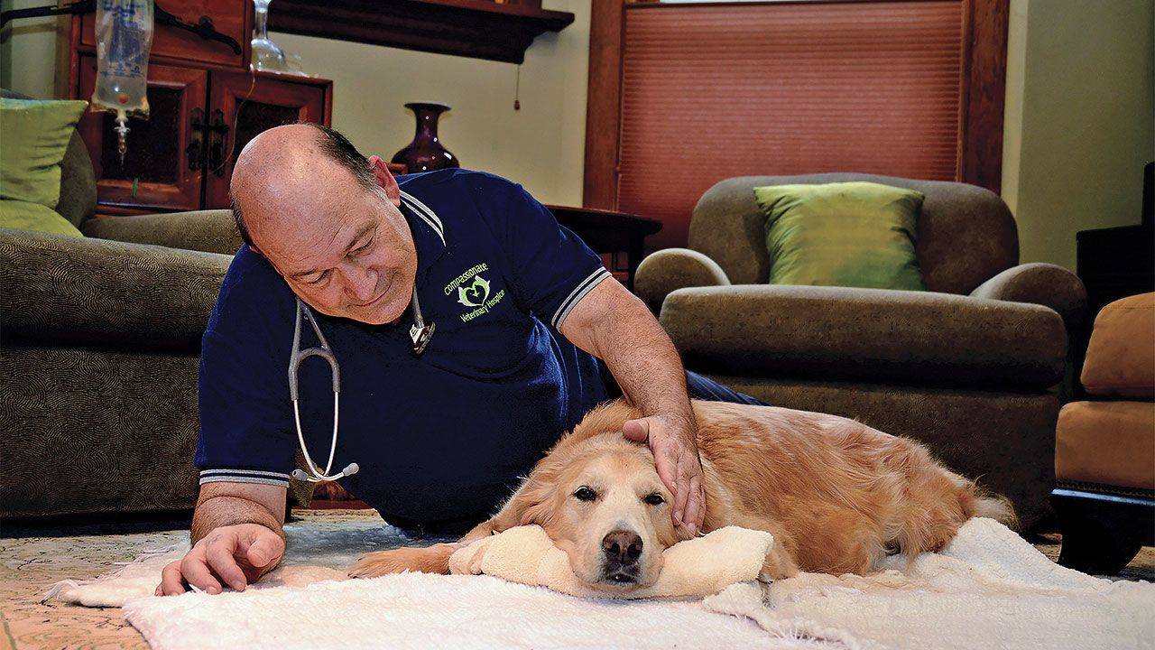 Animal Quality of Life: If and When to Consider Euthanasia