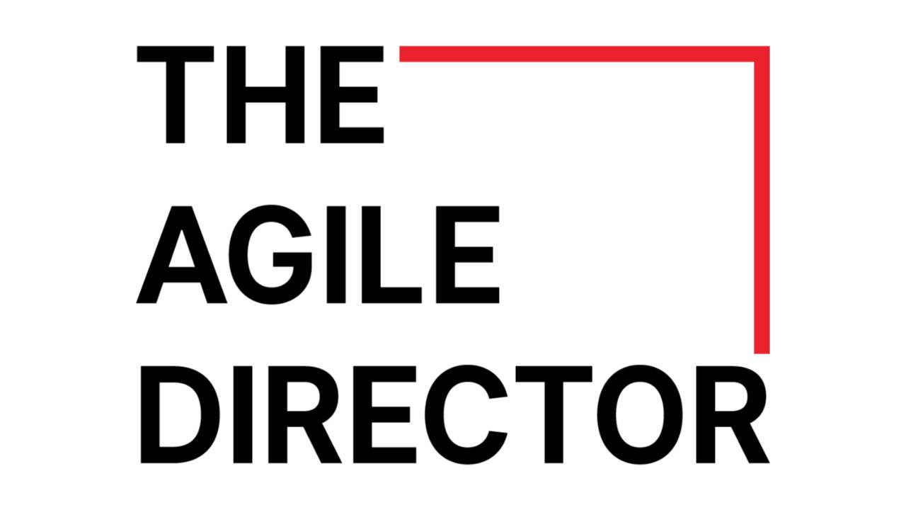 Good Governance for Boards, Executives & Aspiring Directors