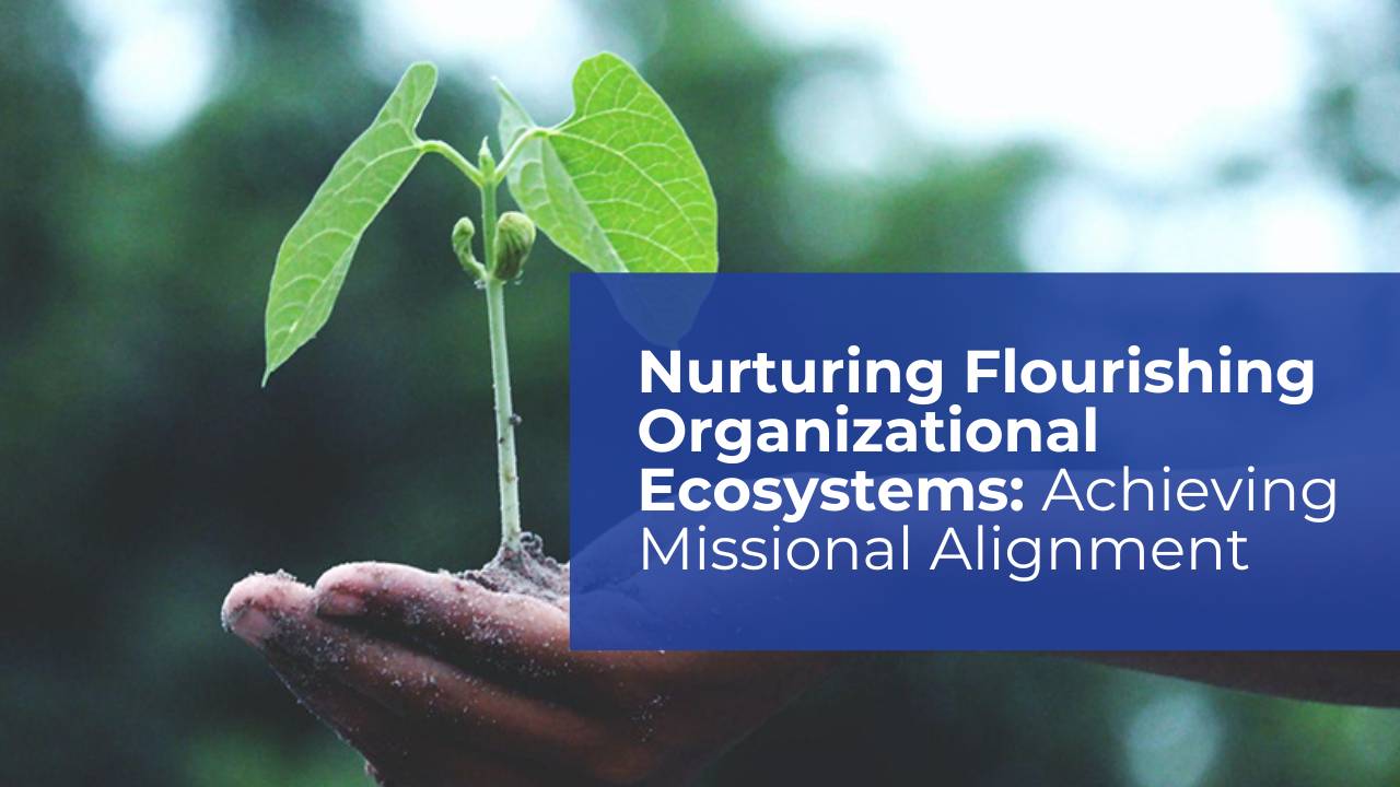 Nurturing Flourishing Organizational Ecosystems