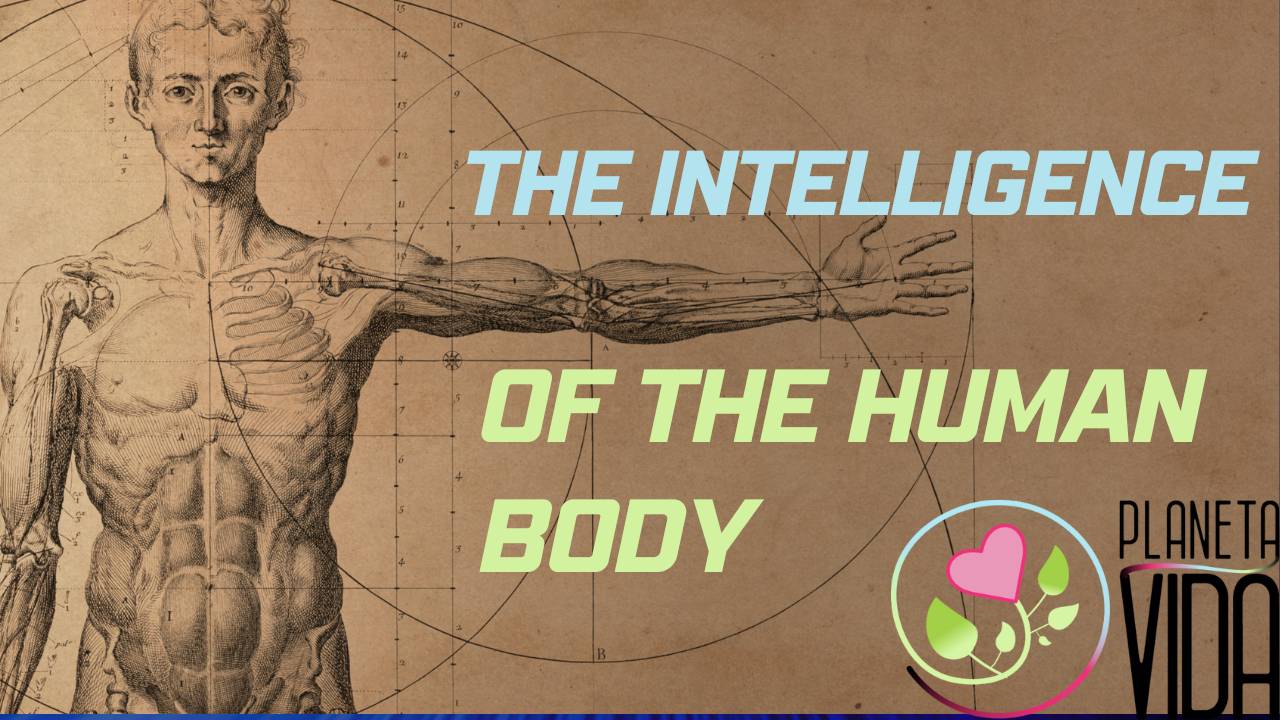 The Intelligence of the Human Body.
