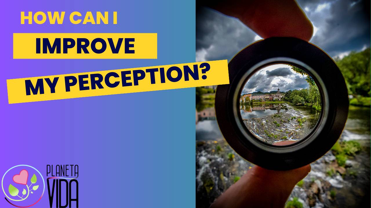 What is Perception? How It Shapes Your Reality & How to Improve It