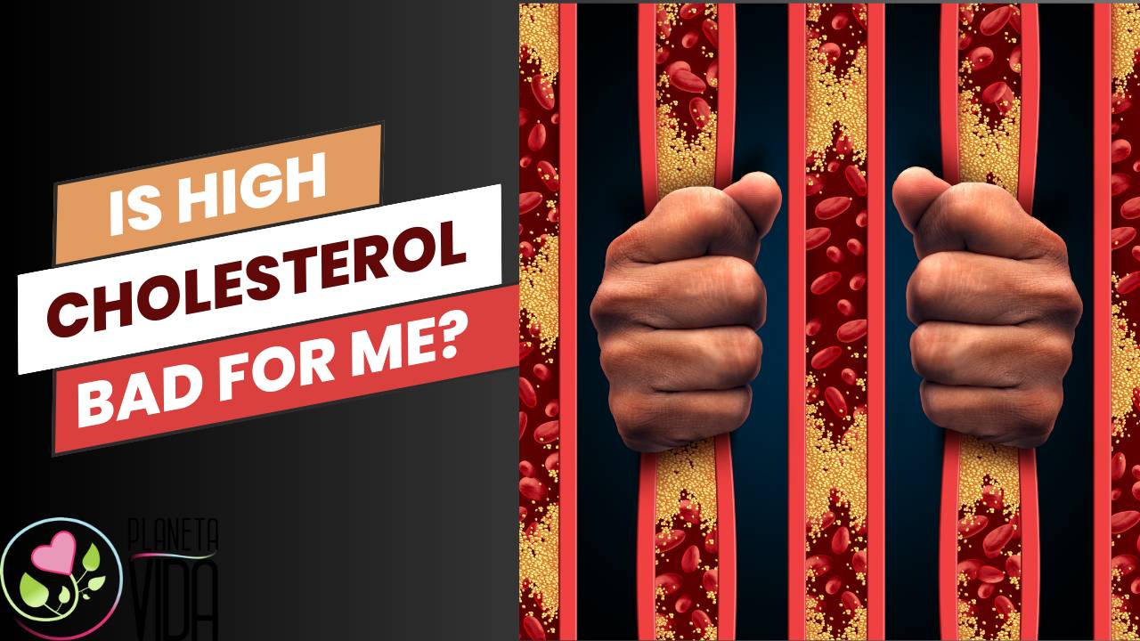 Cholesterol Unveiled: Separating Fact from Fiction for Optimal Health