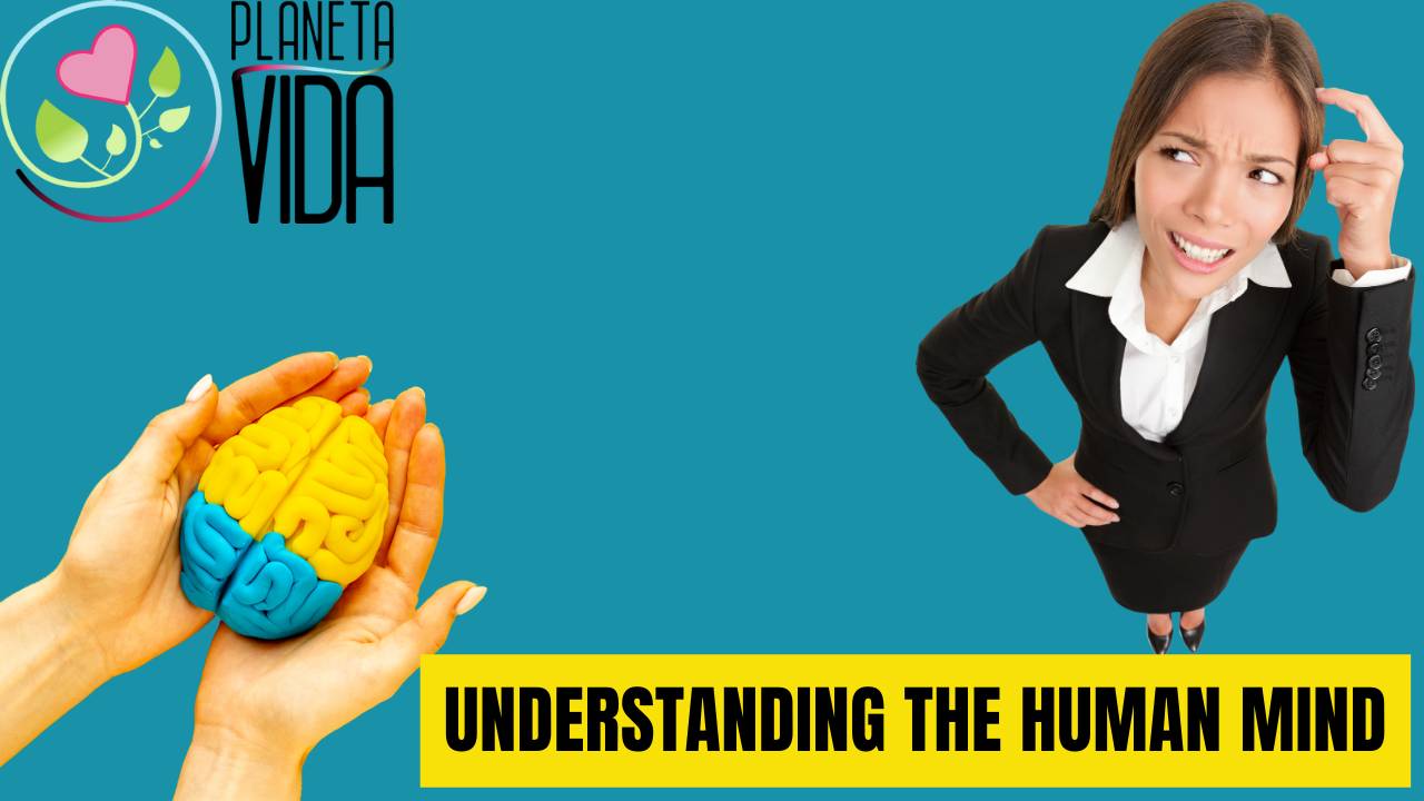 The Human Mind Explained: Nervous System, Stability & Self-Discovery