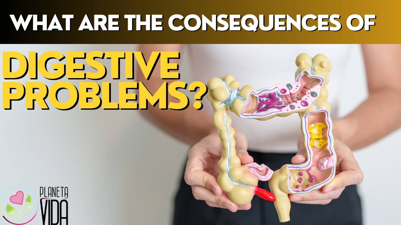 Understanding the Consequences of Digestive Problems