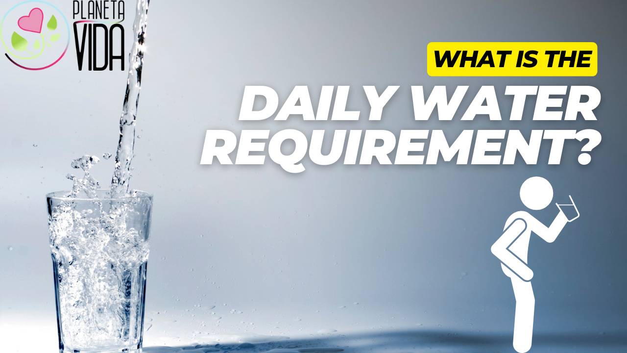 The Hydration Puzzle: How Much Water Do You Really Need?