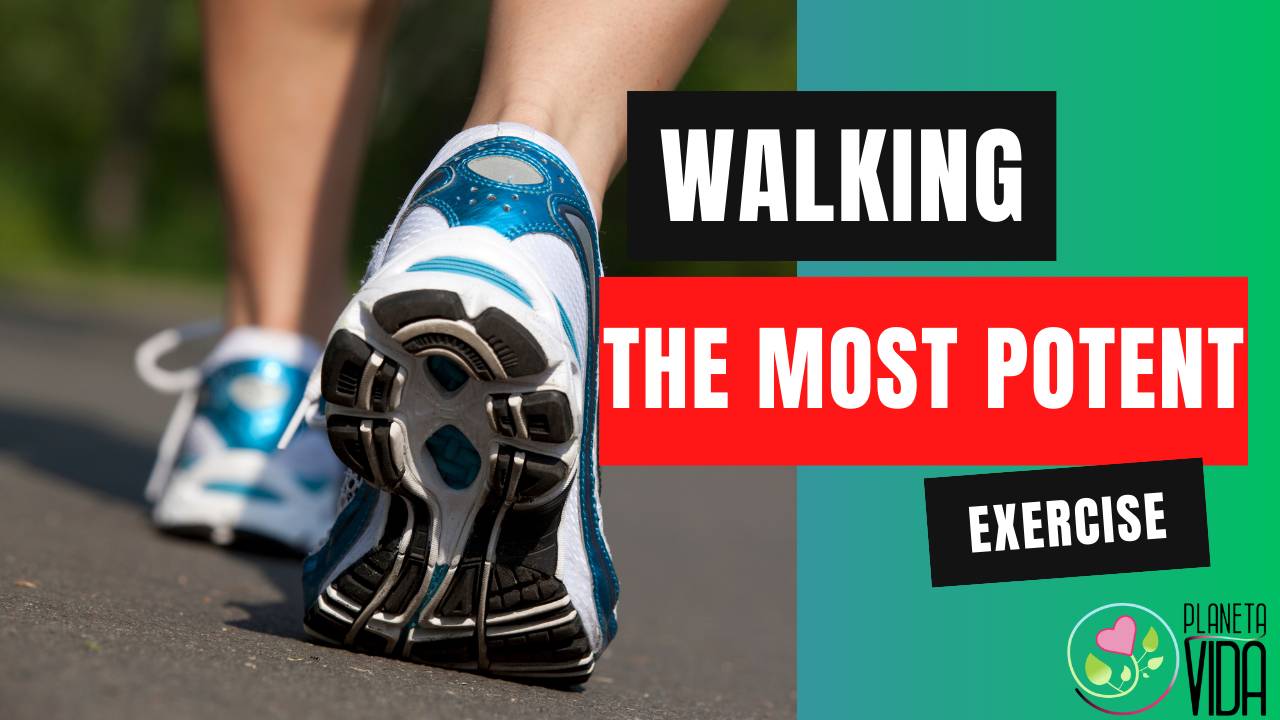 The Power of Daily Walks: A Simple Step to a Healthier You