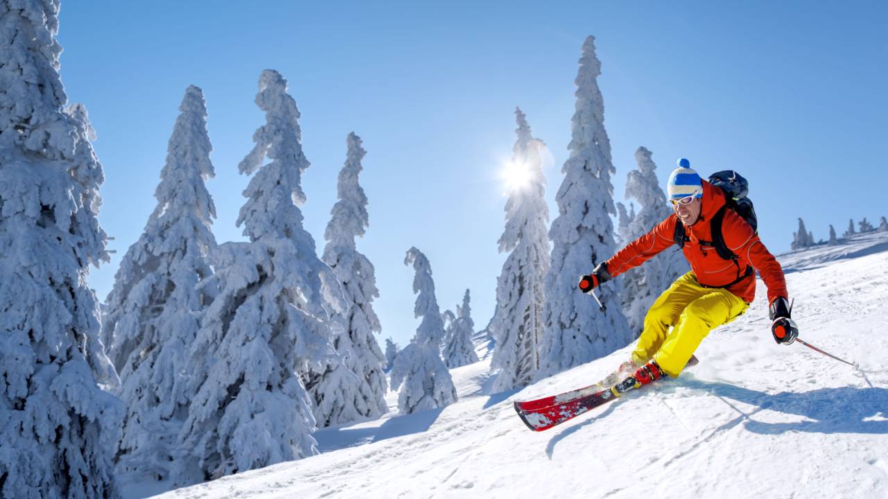Dynamic Skier | Stretching & Strength for Skiers