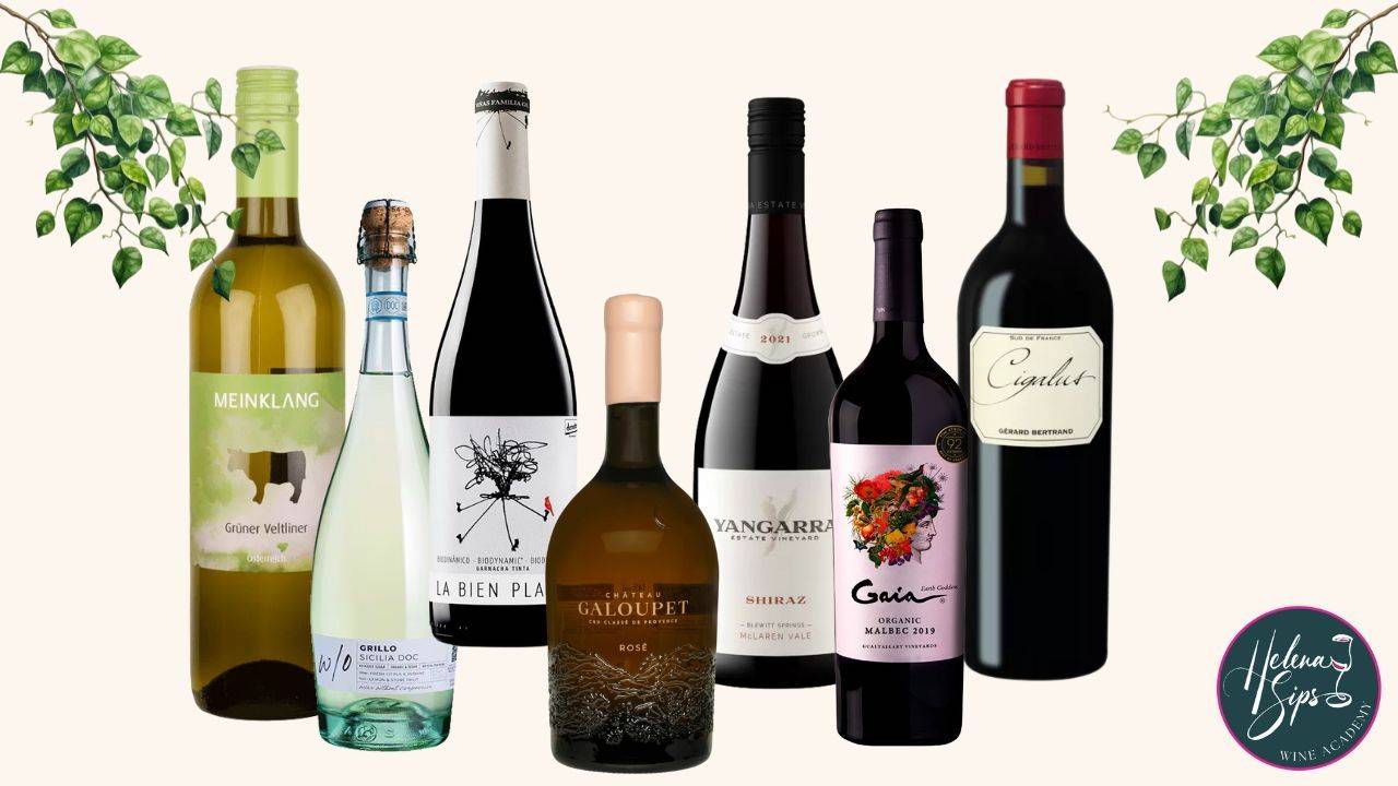 Organic Vs Biodynamic Wine: What’s the Difference?