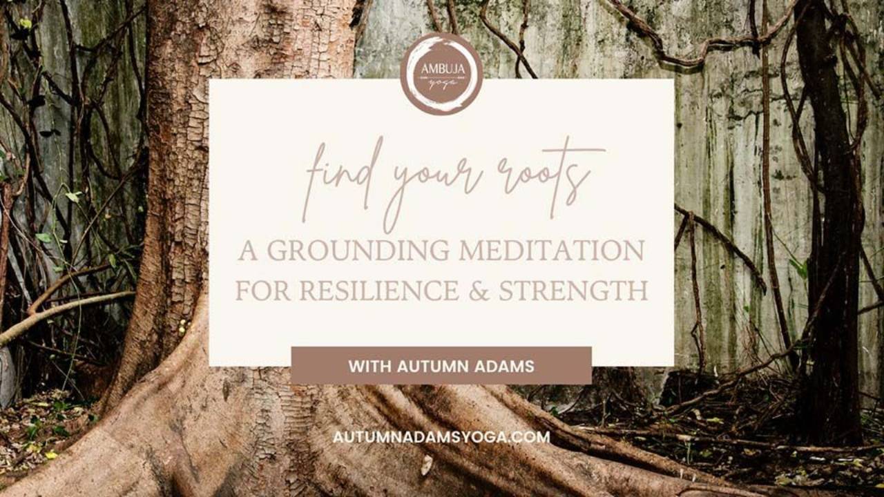 Find Your Roots: A Grounding Meditation for Resilience and Strength