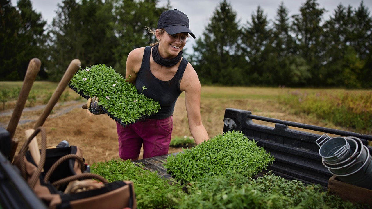 How to Start a Profitable Cut Flower Business from Home This Year