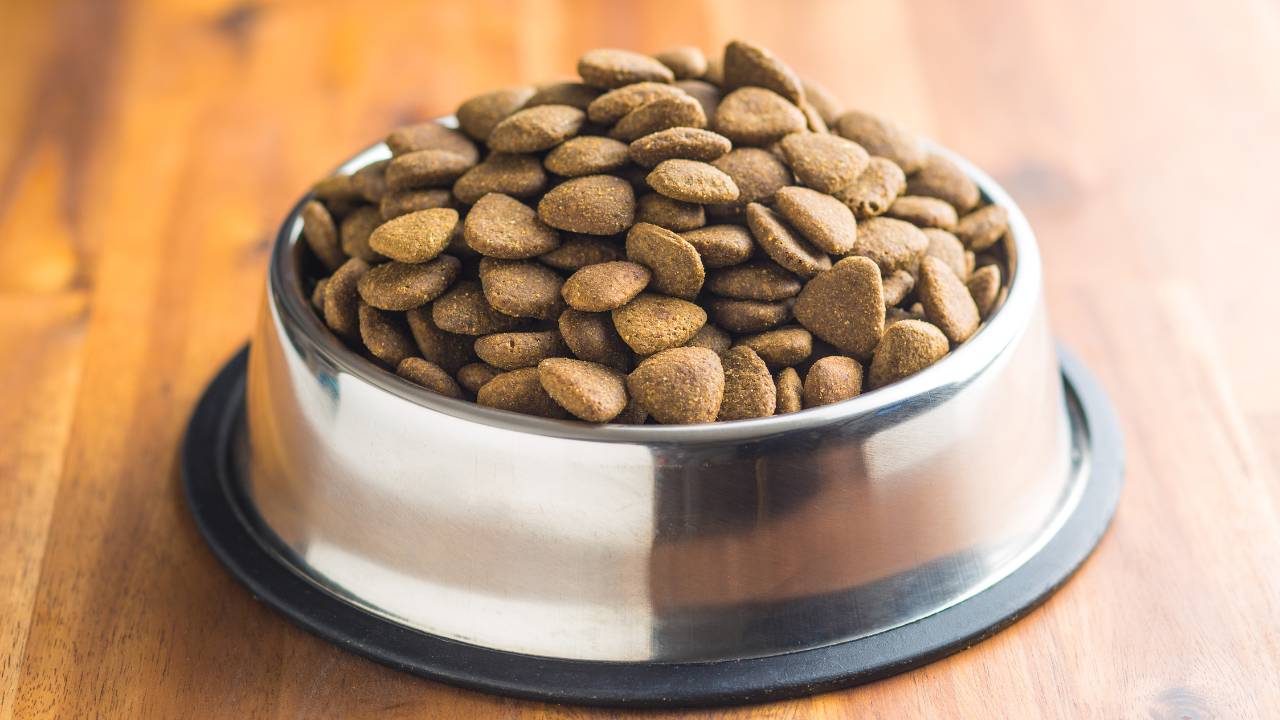 The Truth About “Complete and Balanced” Dog Food Labels