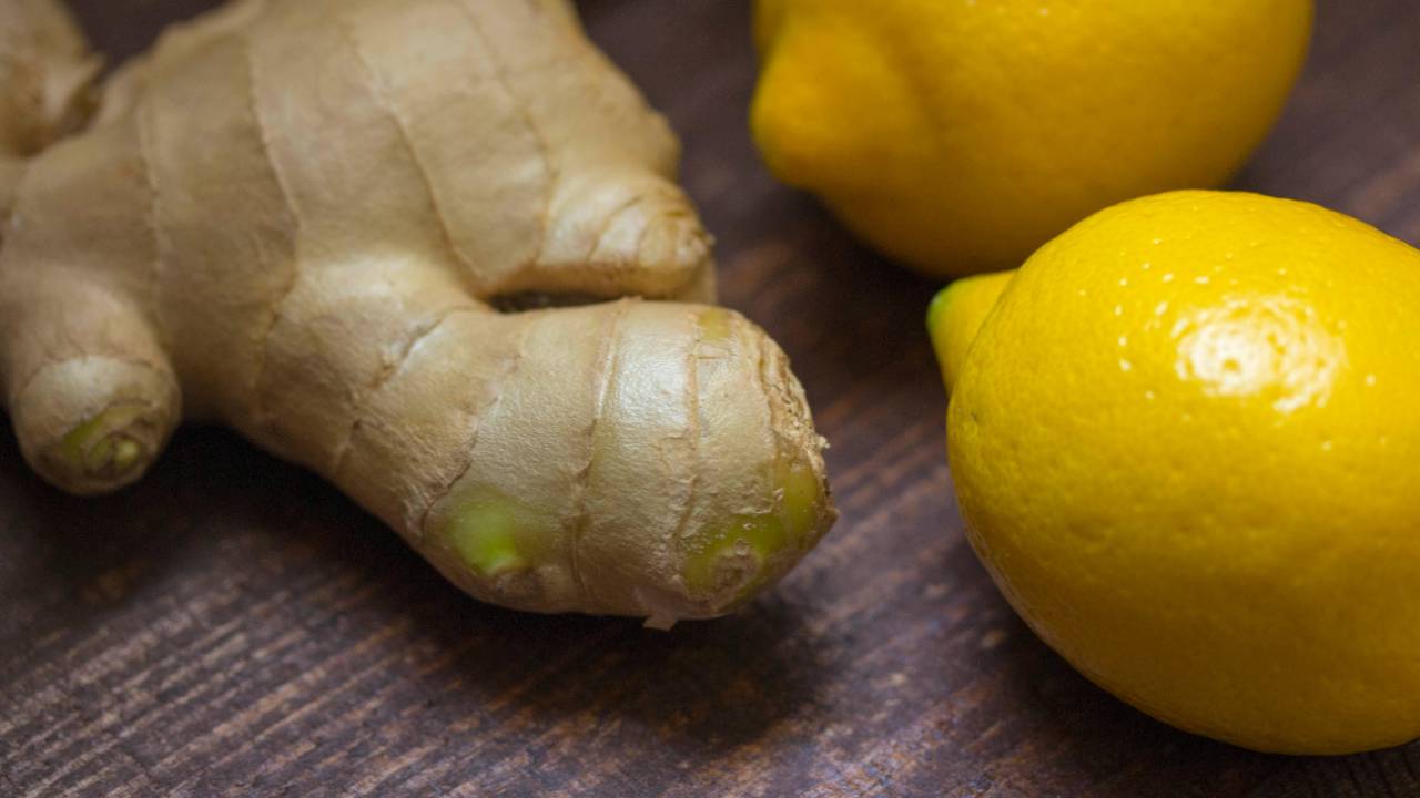 Ginger for Dogs with Cancer as a Therapeutic Addition