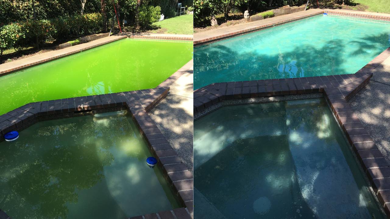 Killing Different Algae Types In Your Pool