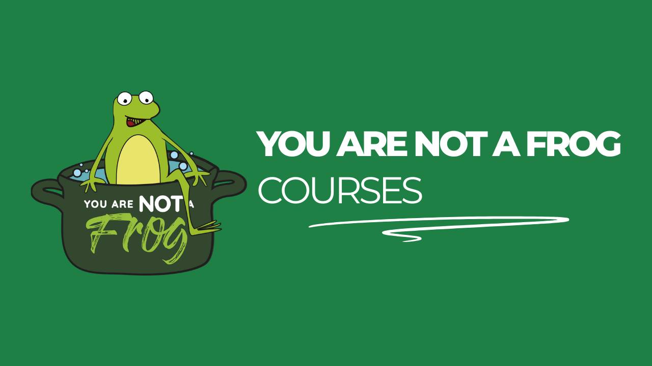You Are Not a Frog | Courses