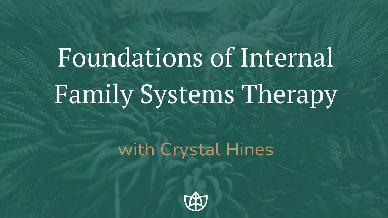 Foundations of Internal Family Systems Therapy