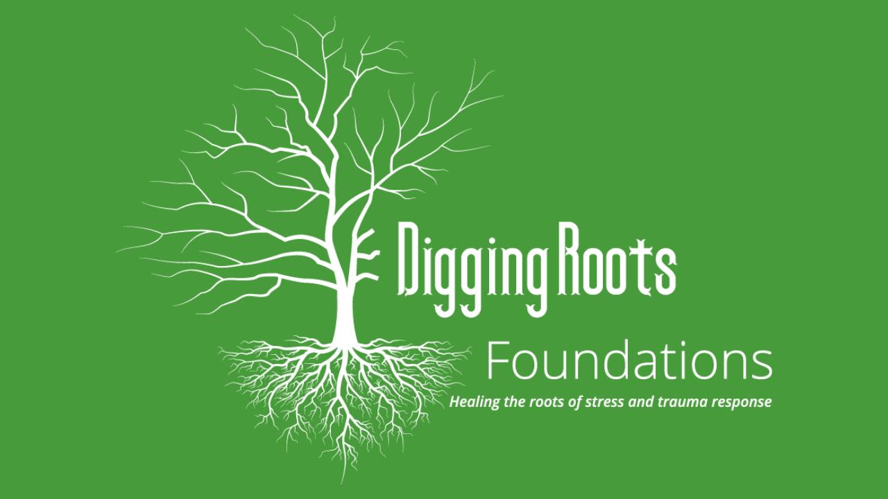 Digging Roots 0.5 Foundations