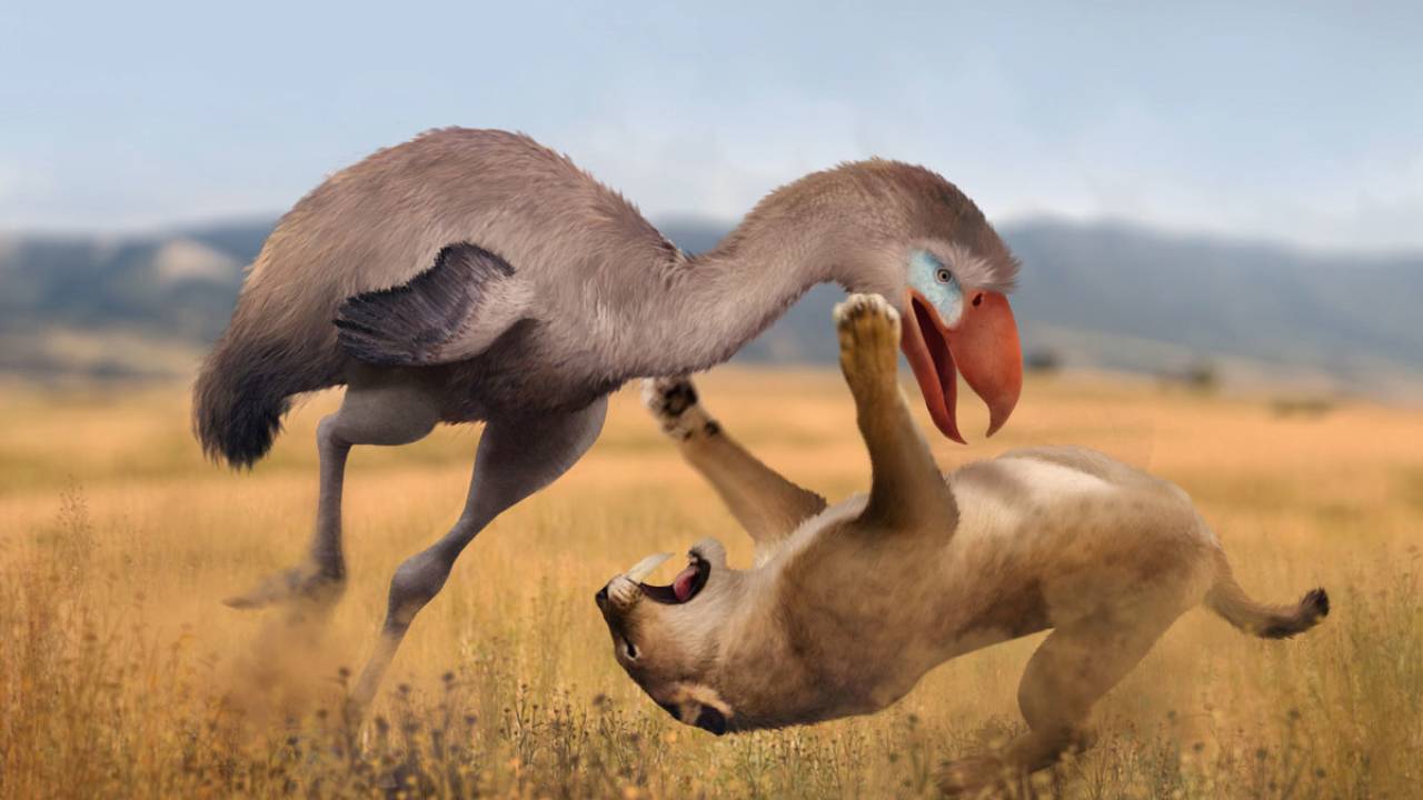 The Great American Biotic Interchange