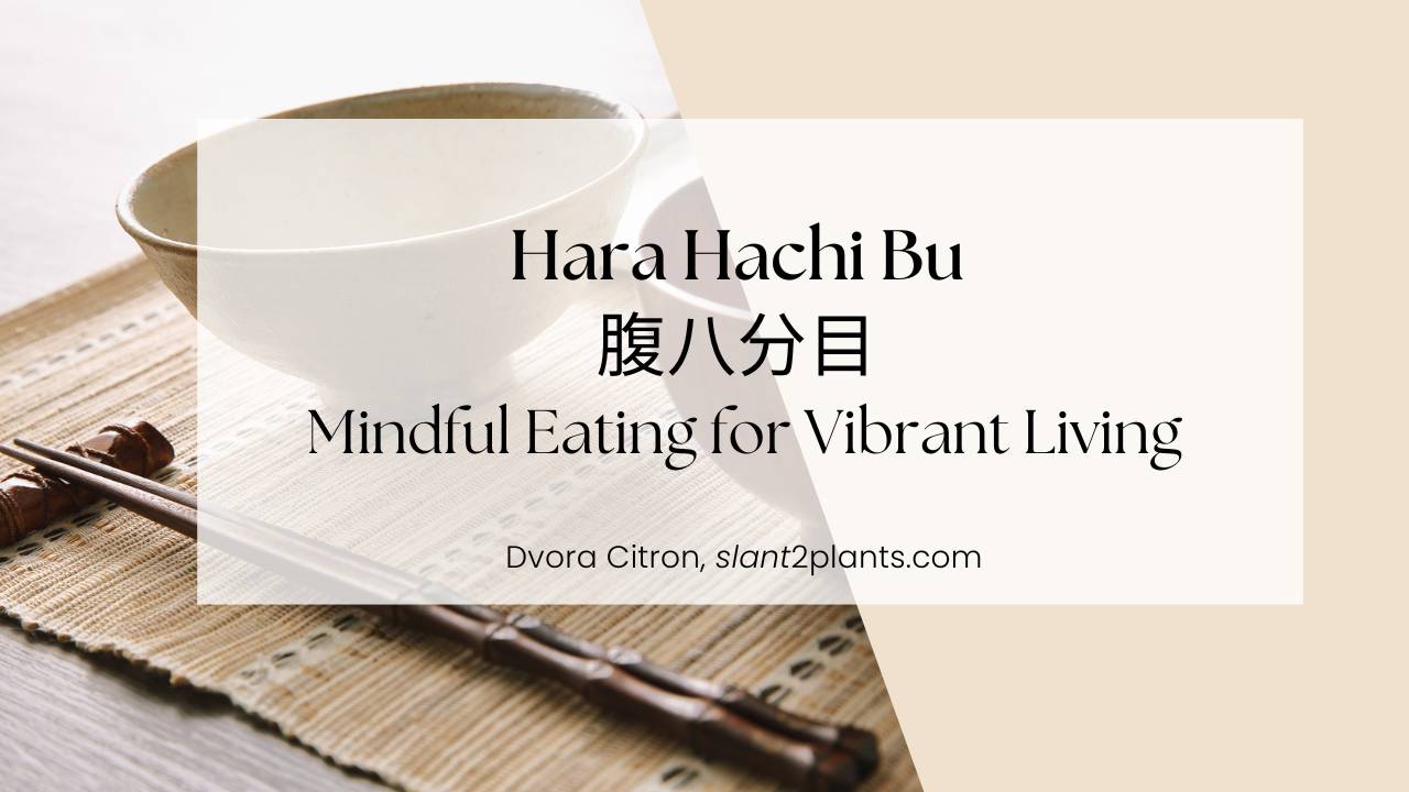 Hara Hachi Bu: Mindful Eating for Longevity & Metabolic Health