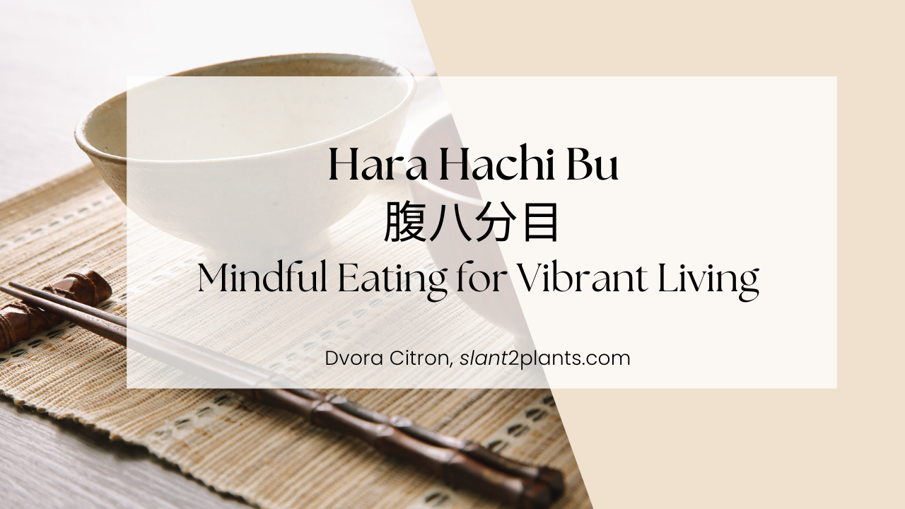 Hara Hachi Bu and Mindful Eating - Sexy in Your 60s by Dvora Citron