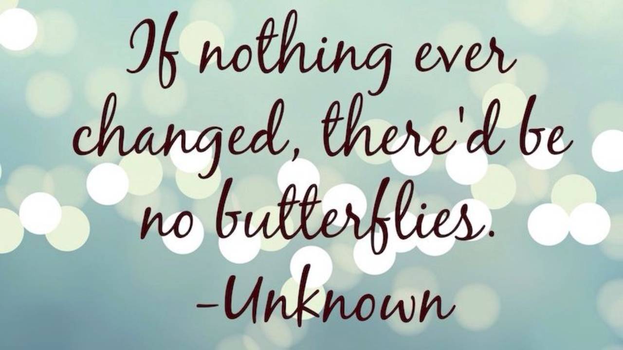 Emma Hamel Wellness Coaching