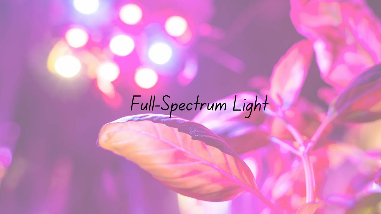 Full-Spectrum Light