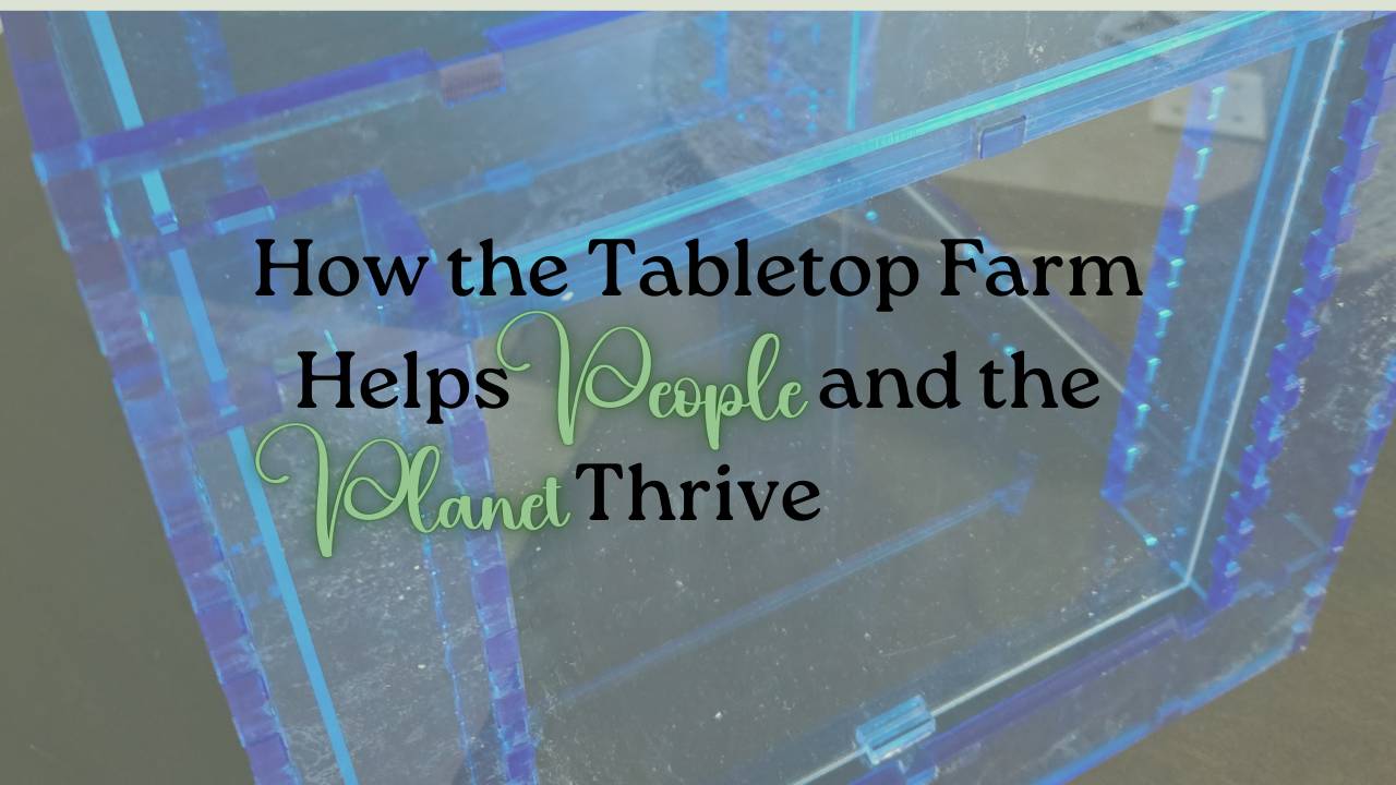 Tabletop Farm Helps People and the Planet Thrive