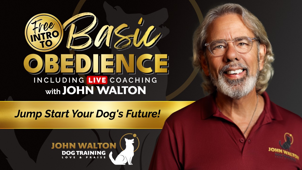 Free Intro to Basic Obedience Including Live Training with John