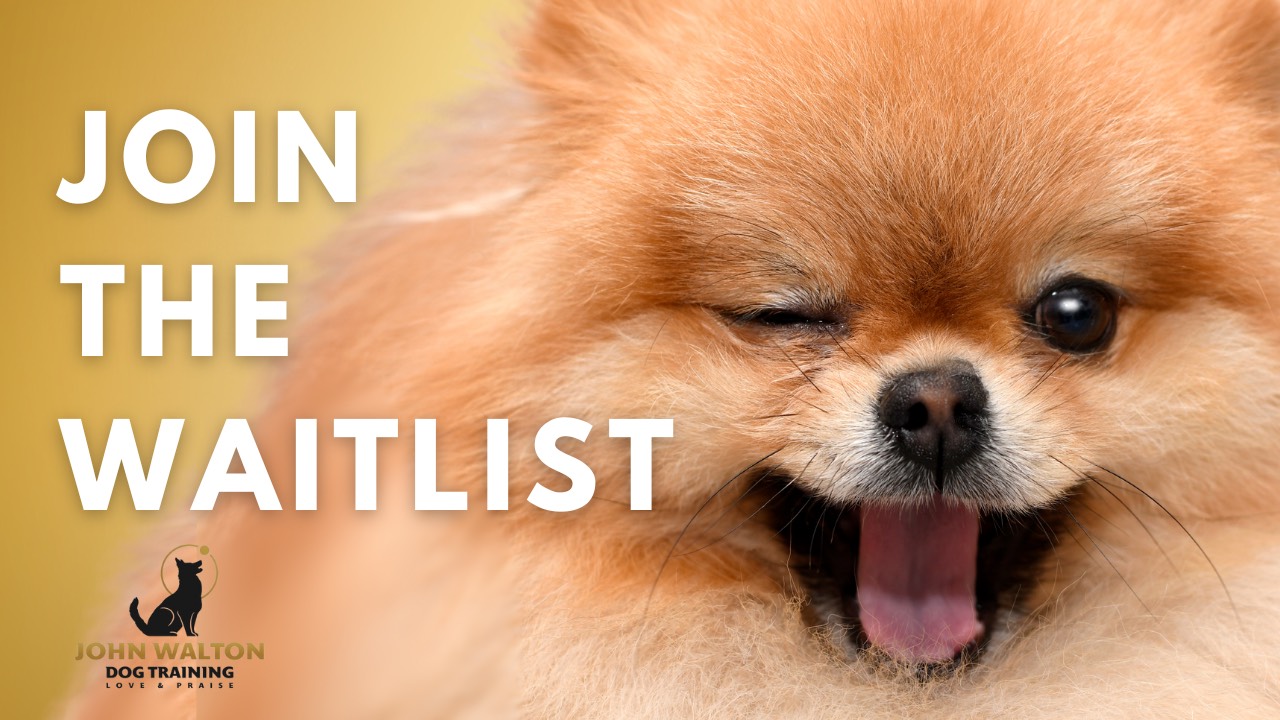 Join Our Waitlist