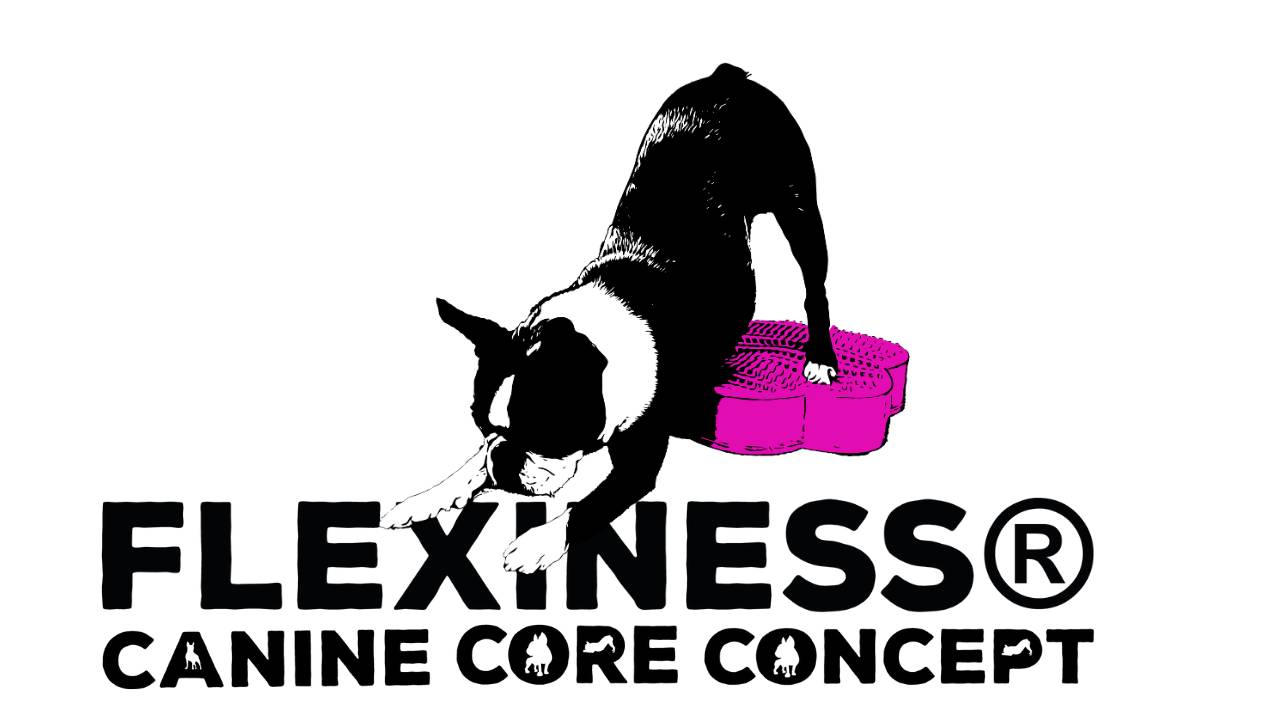 Canine Core Concept by Flexiness®